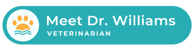 Lakeside Veterinary