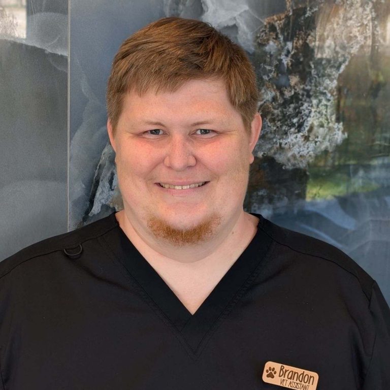About Us – Lakeside Veterinary